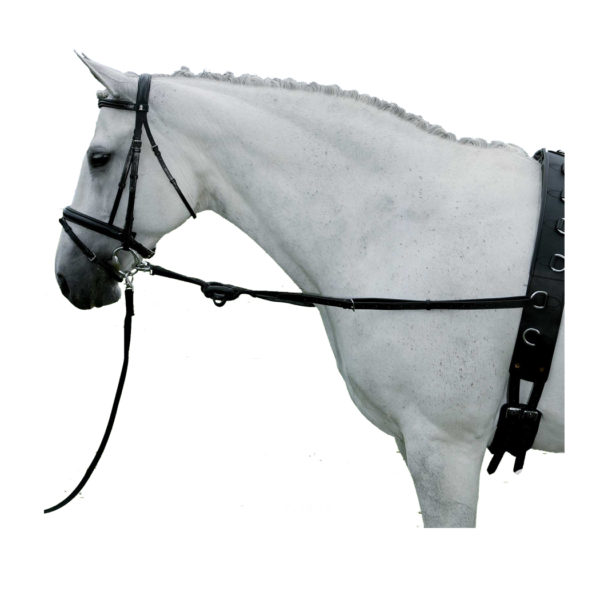 How to Correct Over-flexion as Evasion from the Bit | equicessities ...